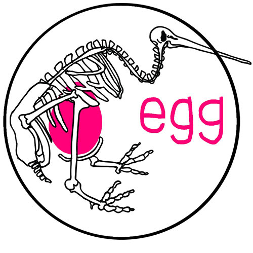 Castle Light - Egg Films